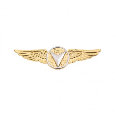 Odznaka Operatora Bezzałogowych Systemów Powietrznych (UAS) U.S. Marine ...