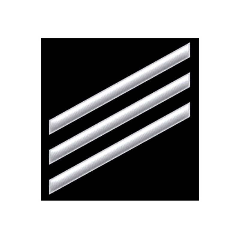 Special Warfare Operator (SO) Rating Badge