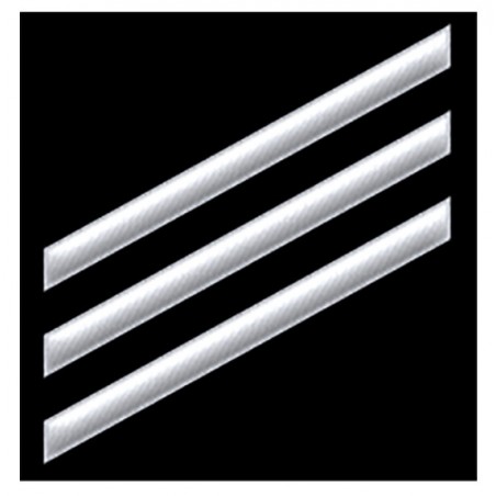 Special Warfare Operator (SO) Rating Badge