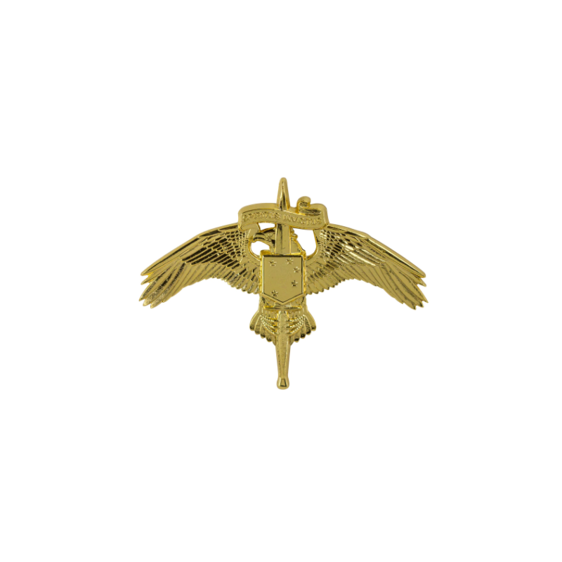 U.S. Marine Corps Special Operations Command MARSOC Badge
