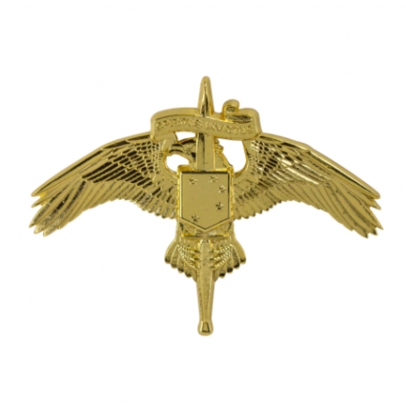U.S. Marine Corps Special Operations Command MARSOC Badge